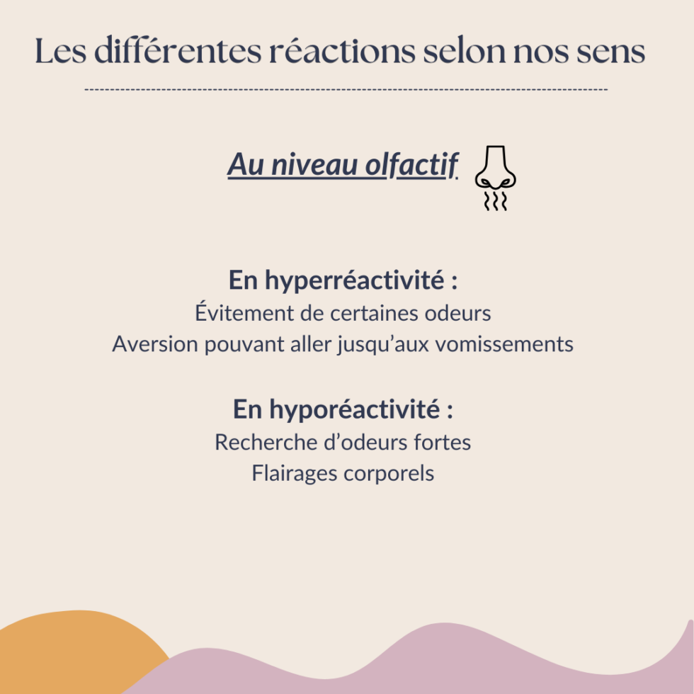 Sensorialité et Autisme : Clés et conseils pour comprendre