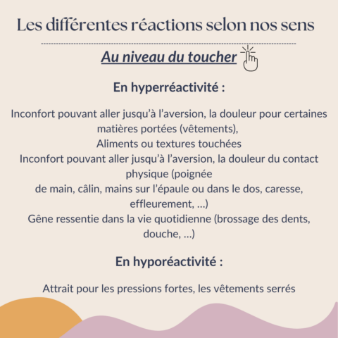 Sensorialité et Autisme : Clés et conseils pour comprendre